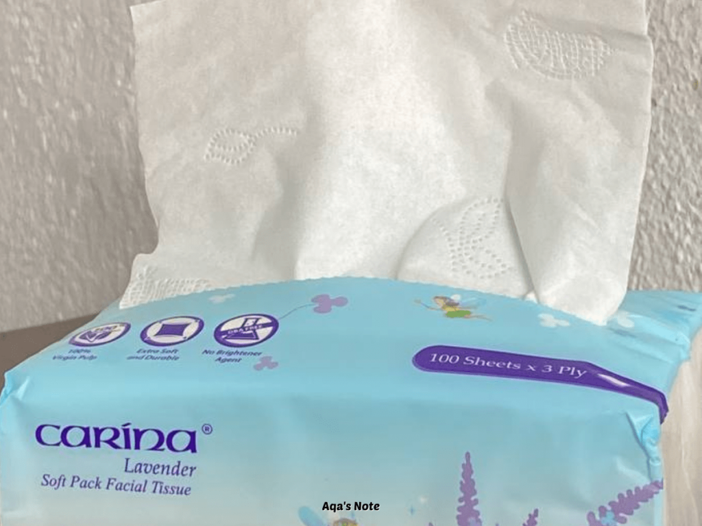Carina Tissue Malaysia: 7 Types of Products Perfect For Everyday Use